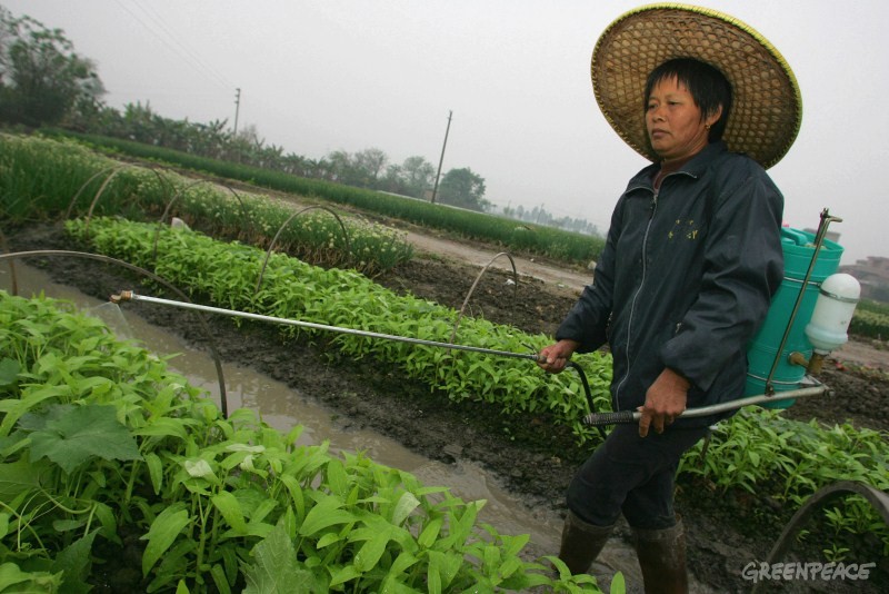 中国农业部新添禁用农药 绿色和平表示欢迎 – 绿色和平