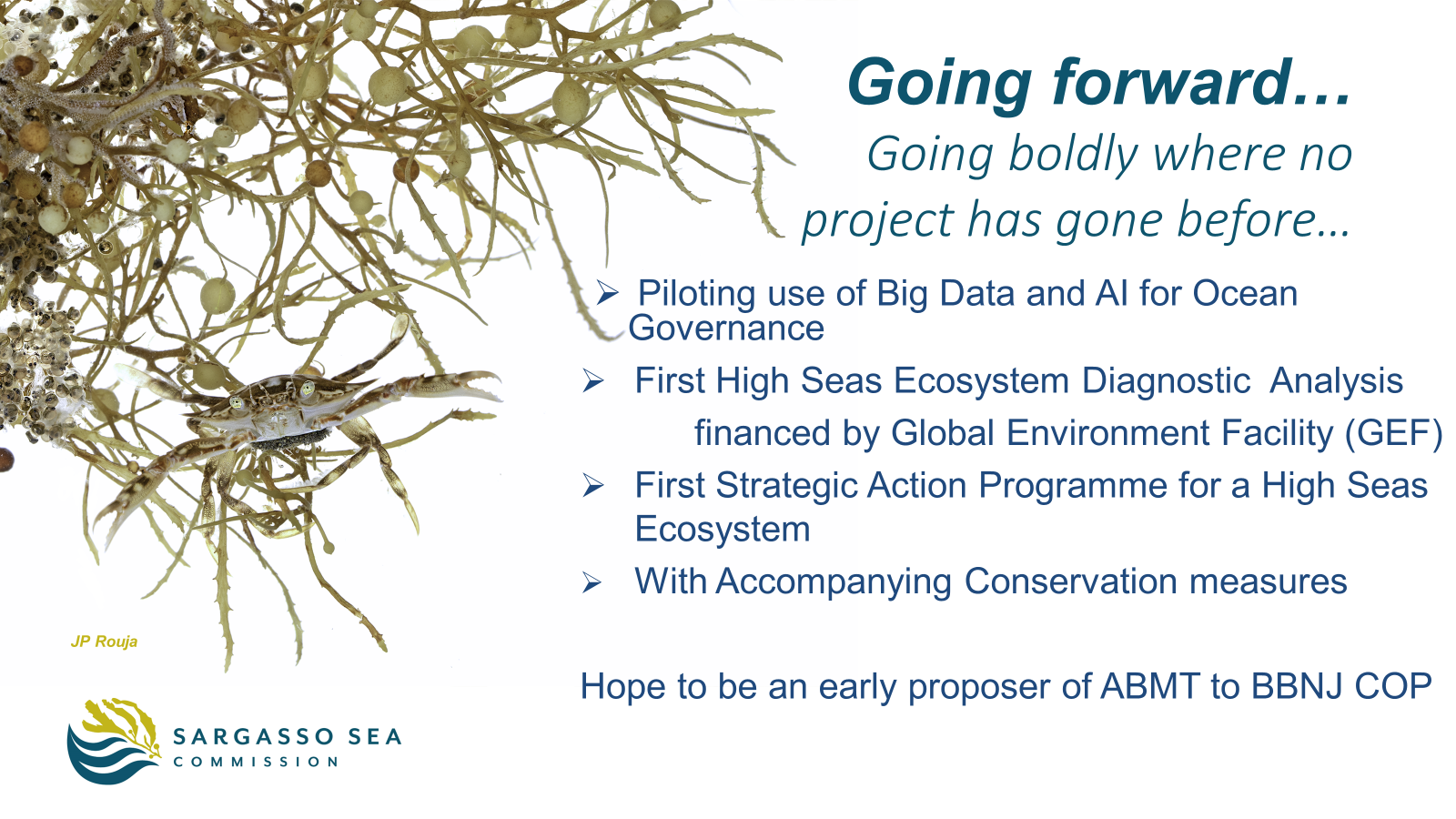 实施《BBNJ协定》的挑战：以马尾藻海项目为例 – 绿色和平